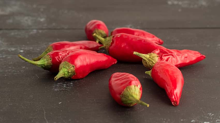 Capsimax: Where to Buy, When to Take and Side Effects – Burn Lab Pro®